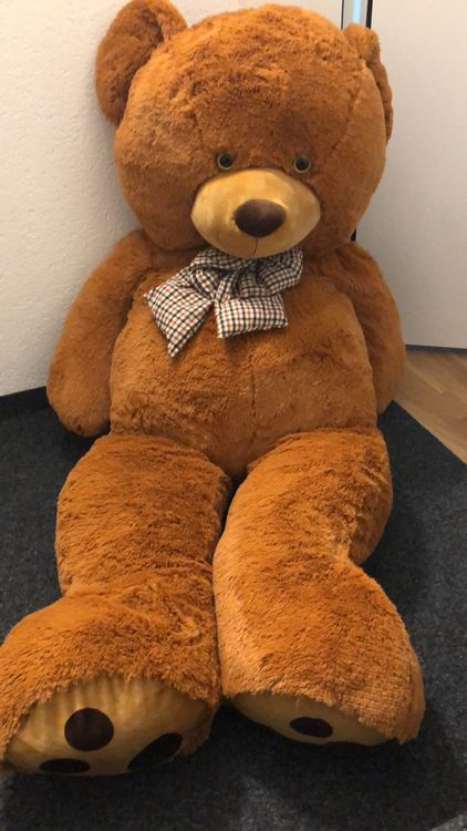 XXL TEDDY 160cm | Kaufen auf Ricardo