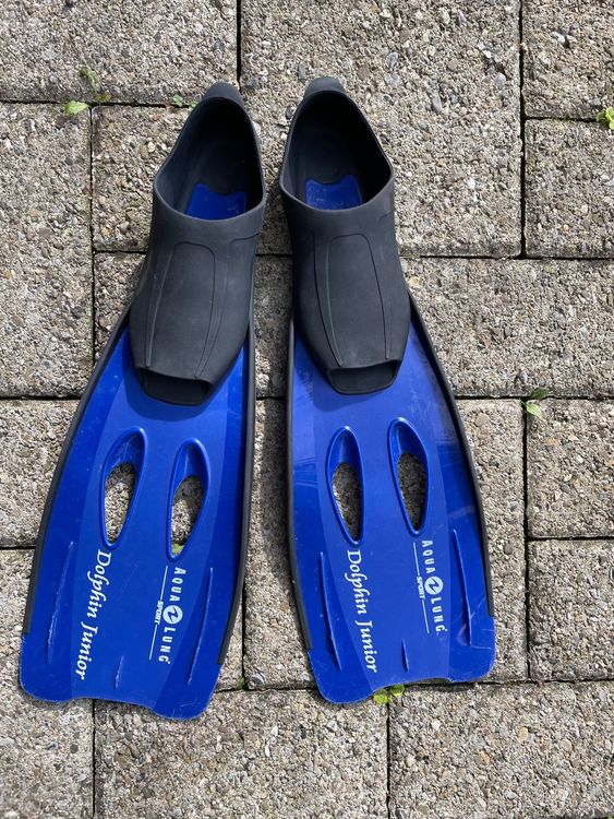 Schwimm- Flossen (Gebraucht) in Cham für CHF 1 – mit Lieferung auf ...