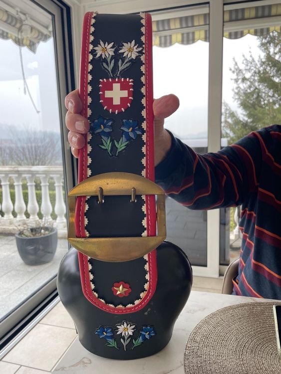 Treichel mit kleinem Farbschaden (Gebraucht) in Holziken für CHF 130 ...