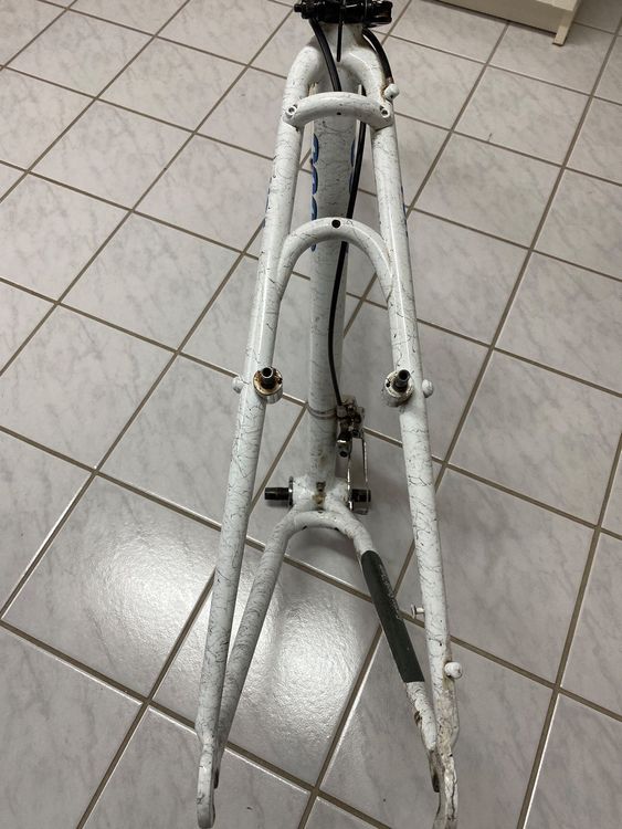 Retro Mtb TREK 8000 Aluminium Rahmen Kult im Mamor Lack | Kaufen auf ...