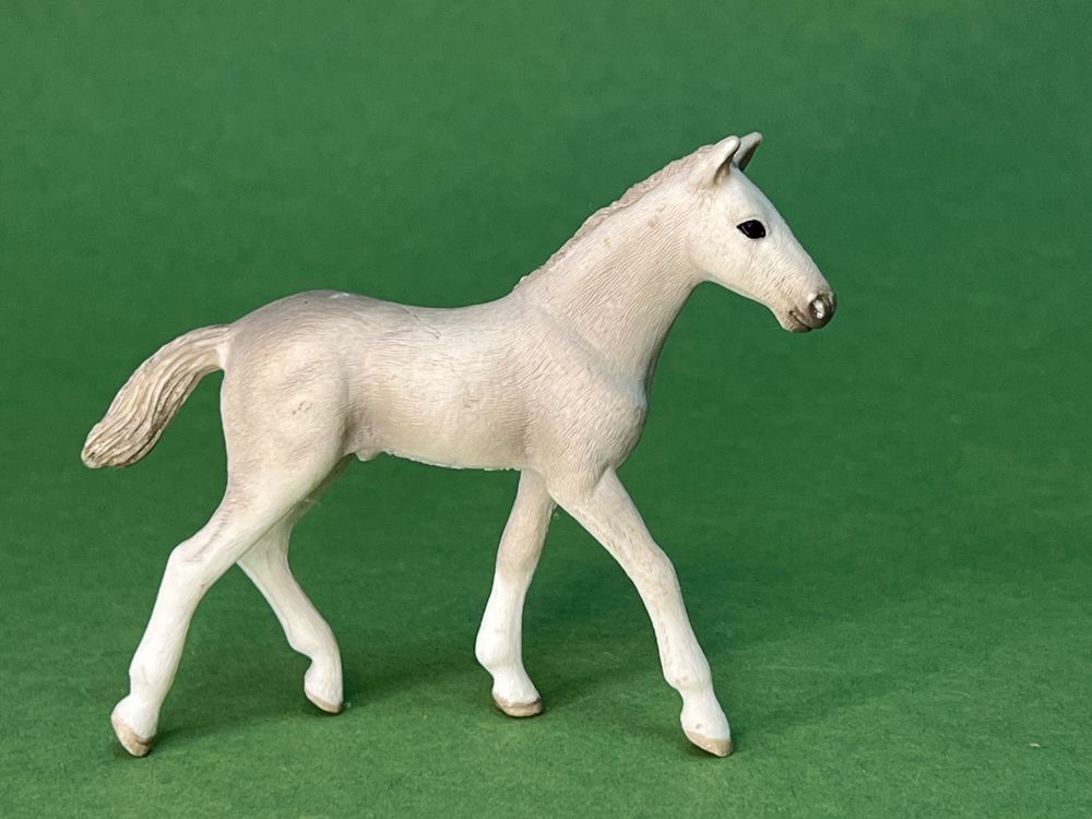 Schleich Hengstfohlen Holstein - 13860 Pferd Fohlen (Gebraucht) in Ennetbaden für CHF 4 – mit ...