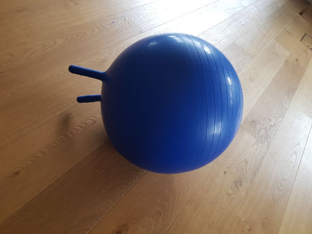 Hüpfball (Gebraucht) in Samedan für CHF 2 – mit Lieferung auf Ricardo ...