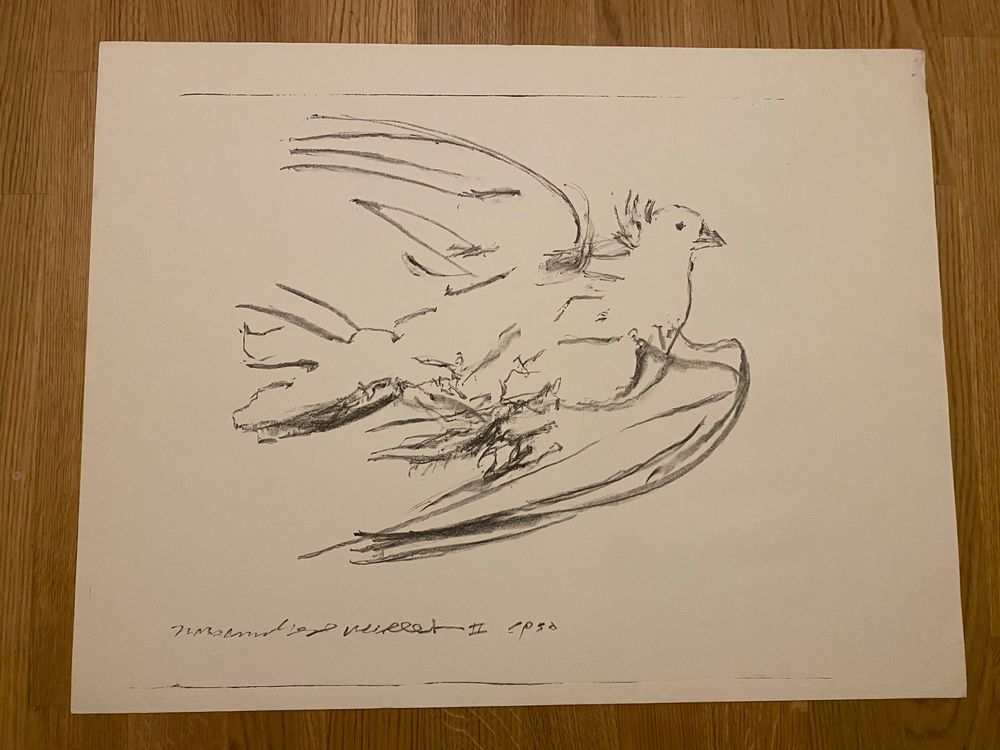 Pablo Picasso Lithographie Paloma para la Paz | Kaufen auf Ricardo