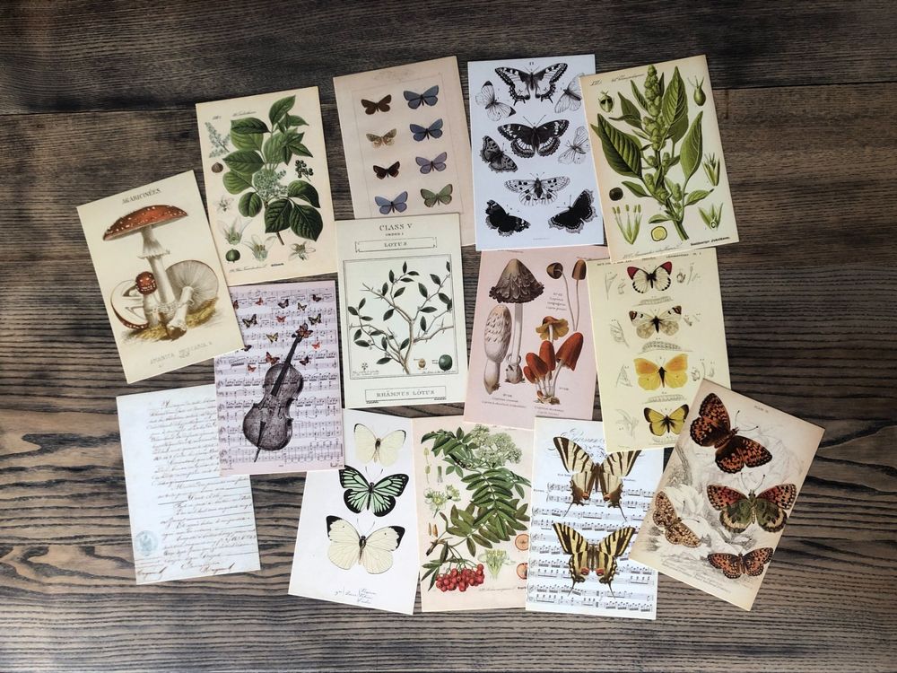 14 Stk Postkarten Karten Botanik Pflanzen Vintage Look (Neu (gemäss Beschreibung)) in Kloten für ...