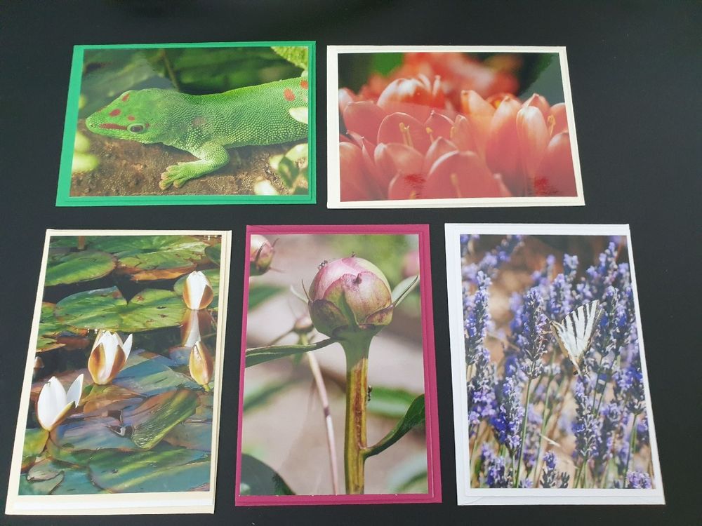 5 Karten / Motiv: Diverse Motive (handgemacht) | Kaufen auf Ricardo