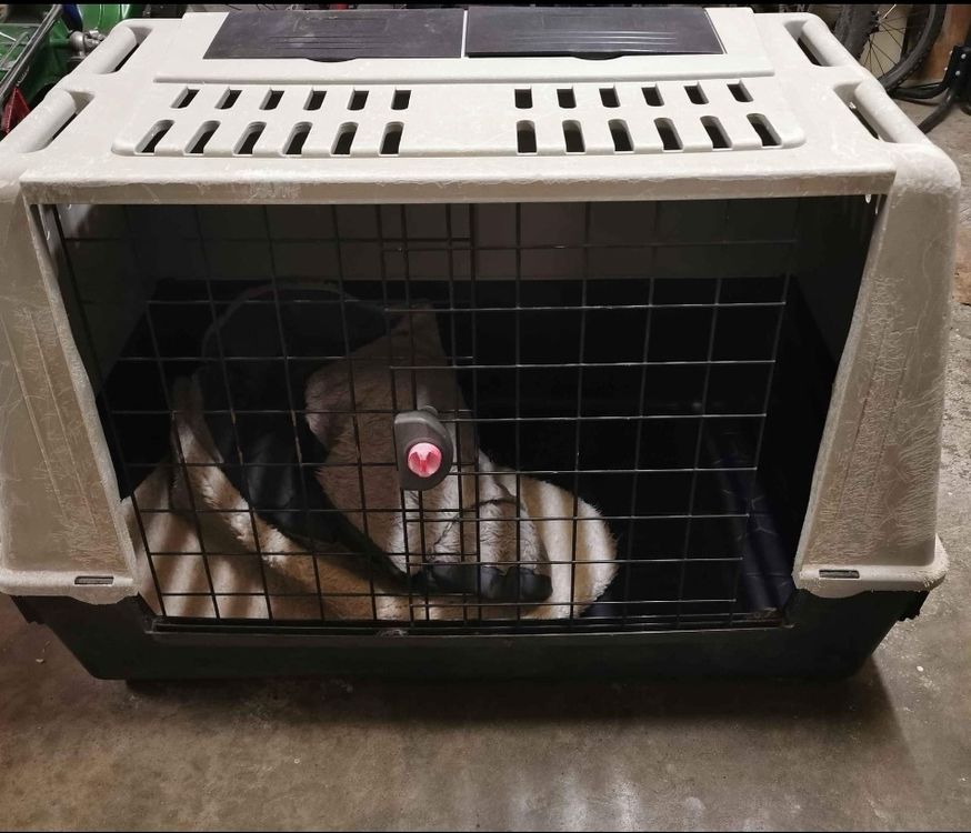 Atlas car 100 (Gebraucht) in Lotzwil für CHF 10 – nur Abholung auf ...