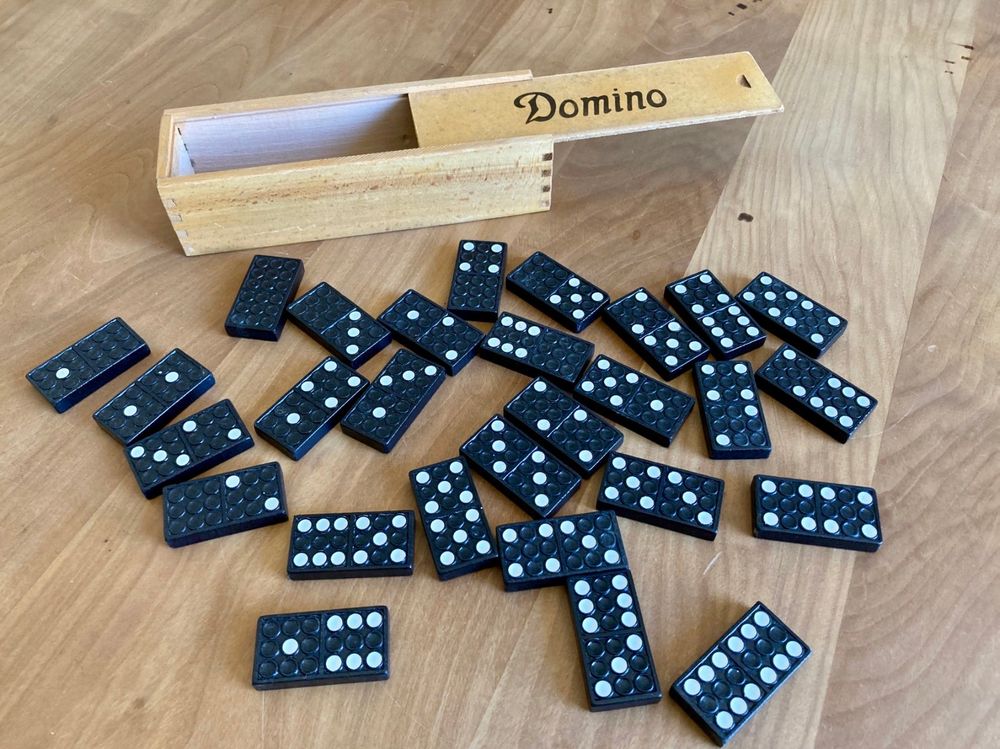 Domino In Schöner Holzbox Spiel Kaufen Auf Ricardo