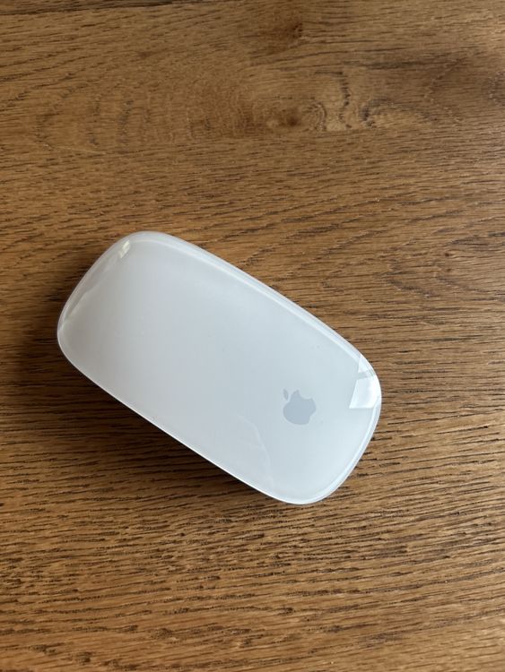 Apple Magic Mouse (1. Generation) (Gebraucht) in Neuendorf für CHF 11 ...