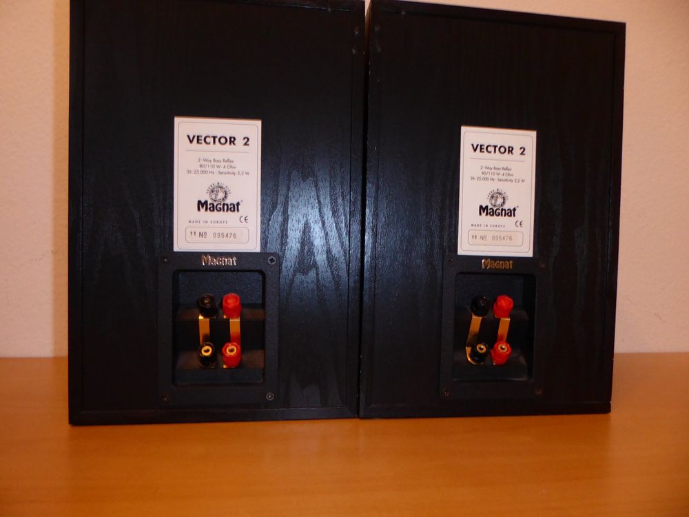 Magnat Vector 2 | Kaufen auf Ricardo