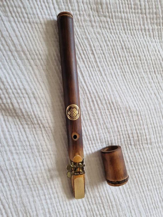 Maui Xaphoon Bambus Saxophon (Gebraucht) in Winterthur für CHF 23 – mit ...