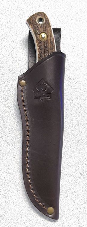 Puma Skinmaster Germany Jagdmesser Hirschhorn mi (Gebraucht) in Zürich ...