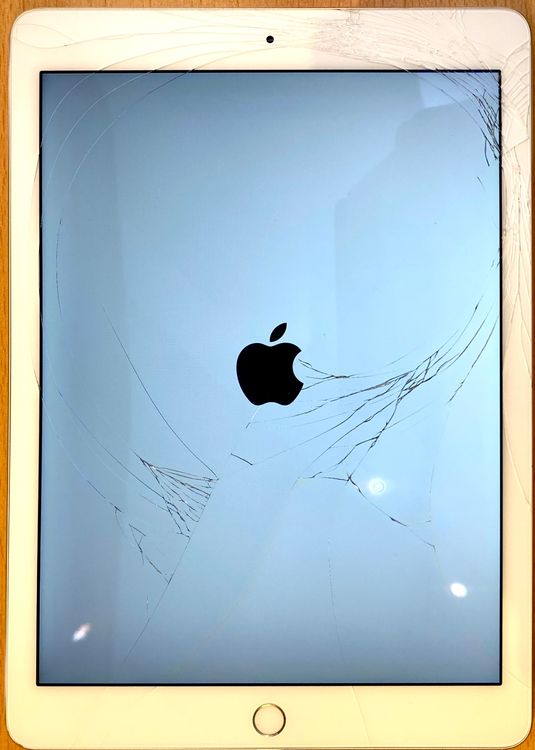 iPad Air 2 - functional but cracked glass screen (Gebraucht) in ...