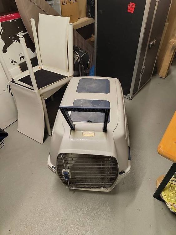 IATA-konforme Hundetransportbox - ideal für Auto, Zug & Flug (Gebraucht ...