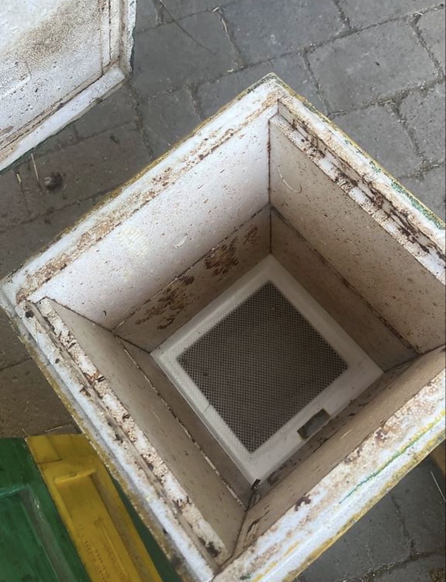 Styropor Miniplusbeute mit zusätzlichem Holzboden (Gebraucht) in ...