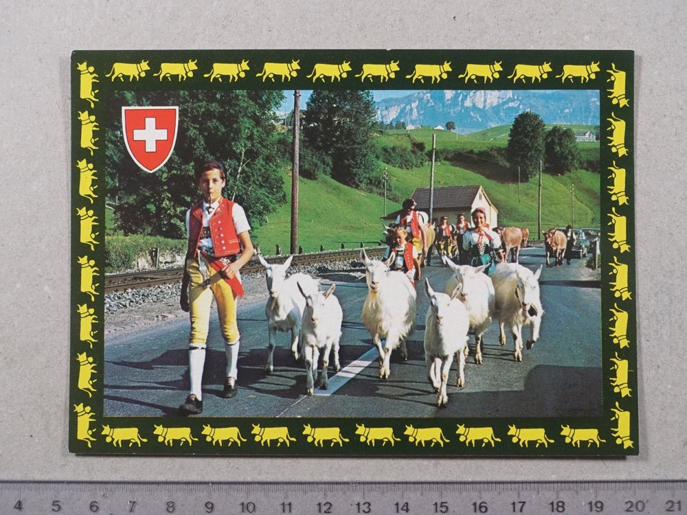 Appenzell, Alpabfahrt, Ziegen, Senn, Tracht, belebt (Gebraucht) in Lenzburg für CHF 2 – mit ...