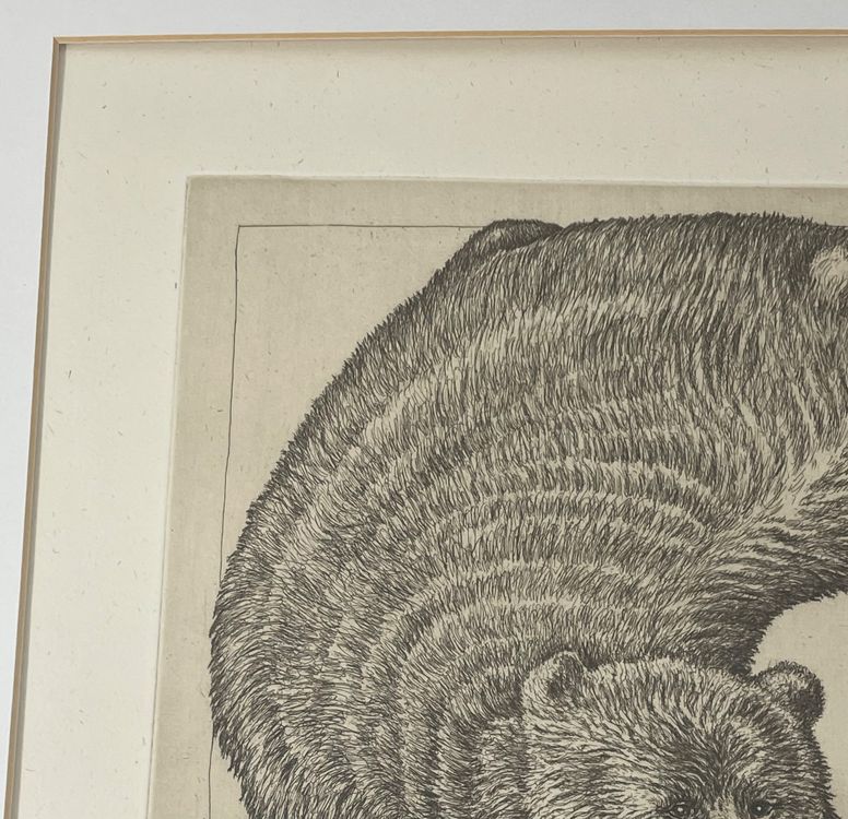 Arthur Loosli (1926-2021) Radierung Handsigniert (Gebraucht) in Root für CHF 15 – mit Lieferung ...