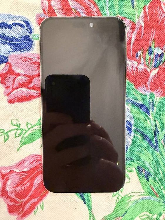 iPhone 15 Pro Max 256 GB ? Perfette condizioni (Usato) a Viganello per ...