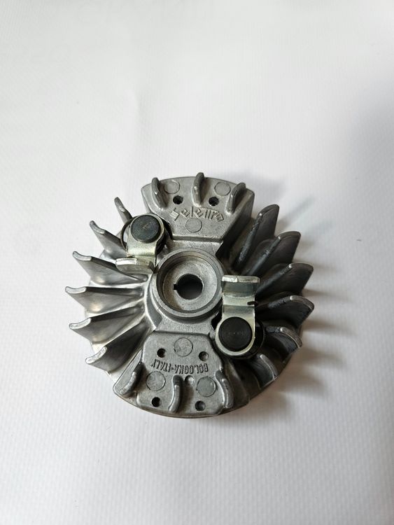 Volano Selettra per decespugliatore Bluebird NPM 38 E (Gebraucht) in Purasca für CHF 20 – mit ...