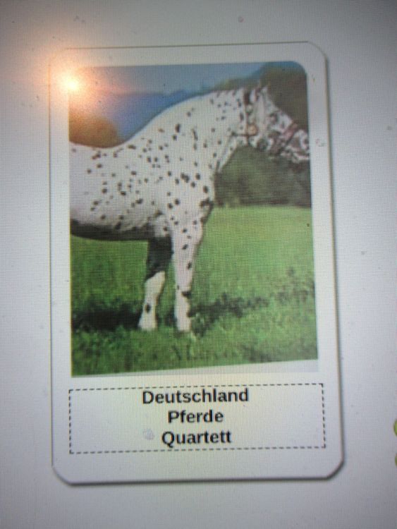 Deuschland Pferde Quartett | Kaufen auf Ricardo