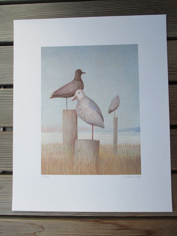 Farblithographie - signiert und nummeriert (Bleistift) 1979 (Gebraucht) in Luzern für CHF 30 ...