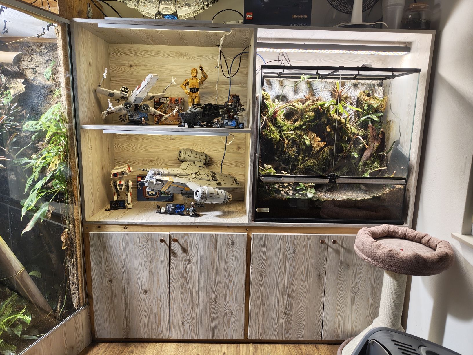 OFFRE LIMITÉE (15.03.26) Meuble unique aquarium et terrarium (Neu ...