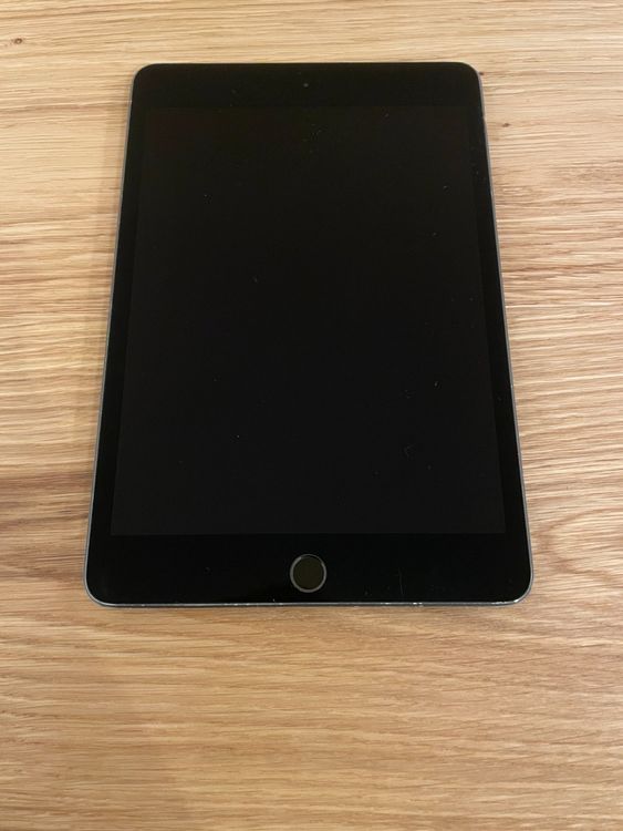 Apple iPad mini 5 (WiFi | 256GB | Spacegrau) (Gebraucht) in Oberrieden für CHF 214 – mit ...