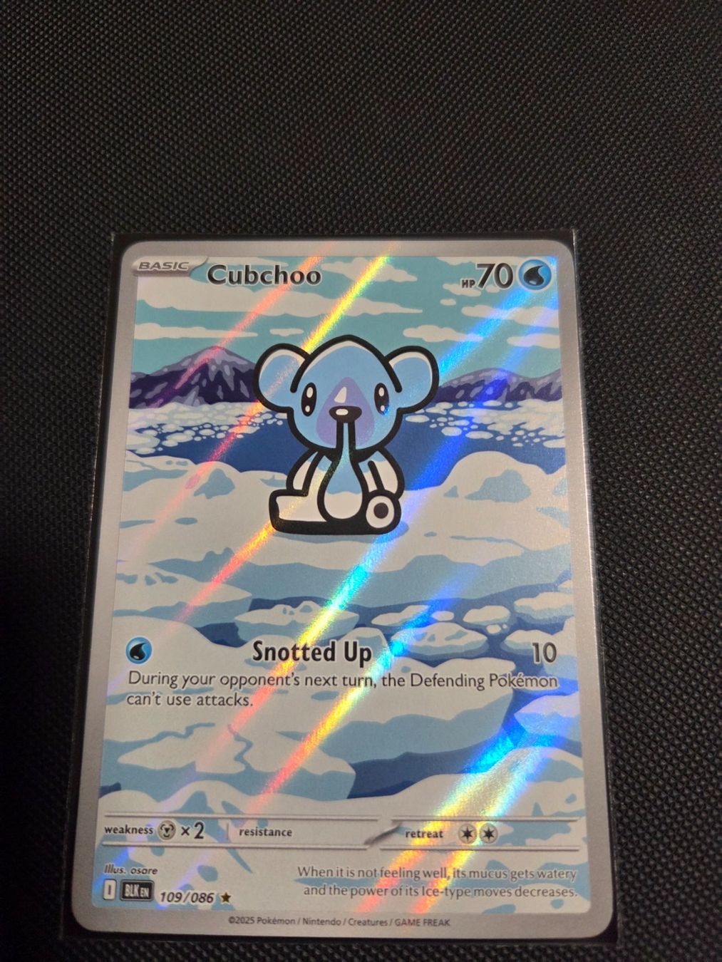 Pokémon Cubchoo 109/086 Black Bolt (Neu (gemäss Beschreibung)) in ...