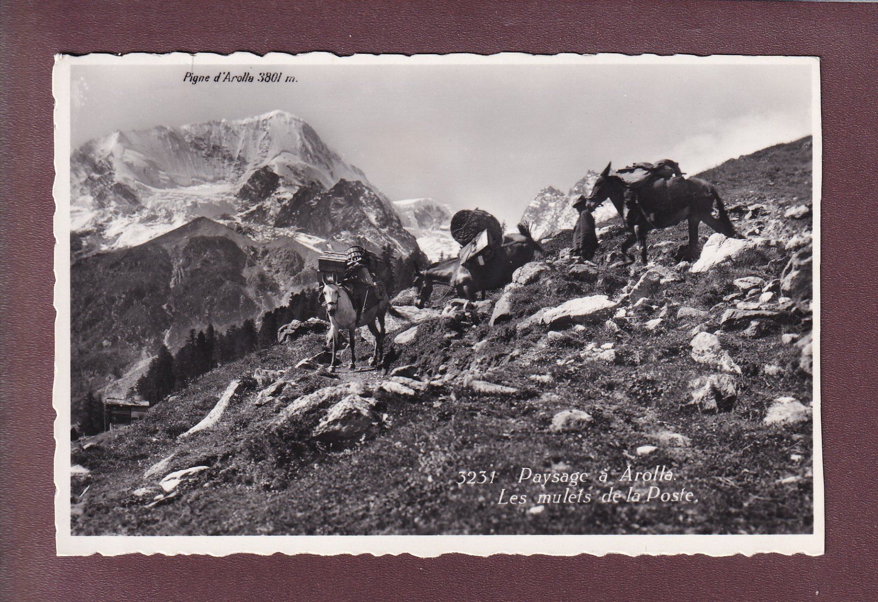 AROLLA - Les mulets de la Poste - 1948 // bord découpé // (D'occasion ...