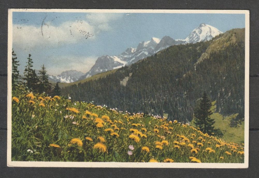 BlumIge Wiese - Löwenzahn (mit Pro Juventute 1928) (F (Gebraucht) in Ruggell für CHF 0.35 – mit ...