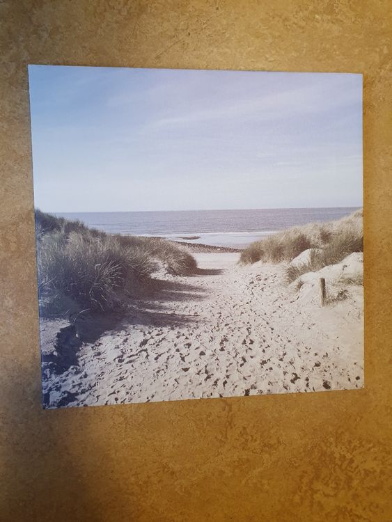 Schönes Strandbild, Dünen, Meer, Ferienfeeling! | Kaufen auf Ricardo