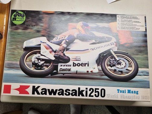 Kawasaki 250 Toni Mang | Kaufen auf Ricardo