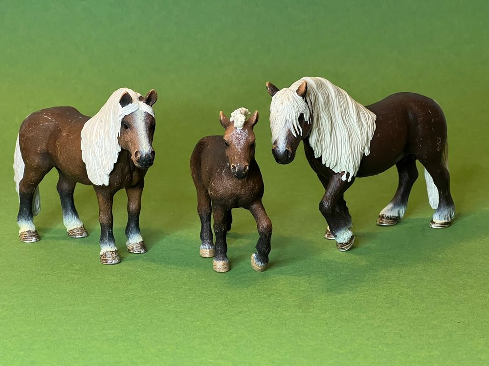 3 Schleich Pferde Schwarzwälder Stute Hengst Fohlen (Gebraucht) in Ennetbaden für CHF 23 – mit ...
