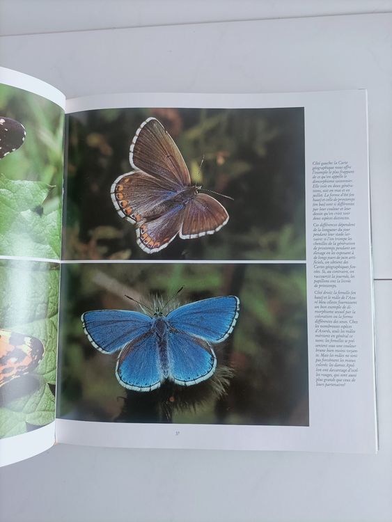 Nos papillons / Emmanuel de Bros - Thomas Ruckstuhl / Mondo (Gebraucht) in crans montana für CHF ...