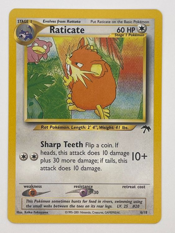 Raticate 6/18 Pokémon Southern Island Promo ab 1.- (Neu (gemäss ...