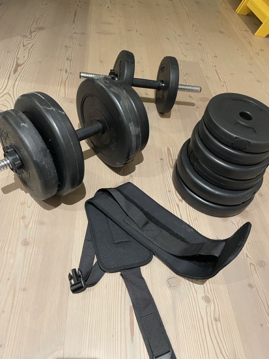 Kurzhanteln 2 x 20kg und Hip Thrust Gürtel (Gebraucht) in Urdorf für ...