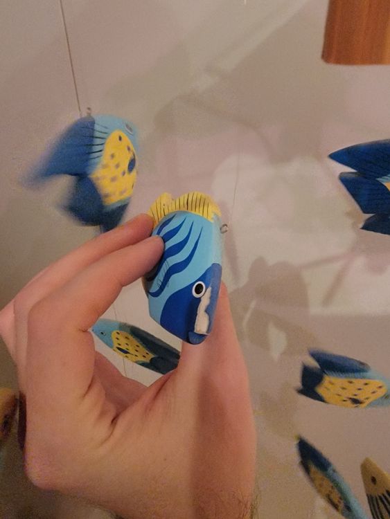Fisch Mobilet (Gebraucht) in Haag (Rheintal) für CHF 10 – mit Lieferung ...