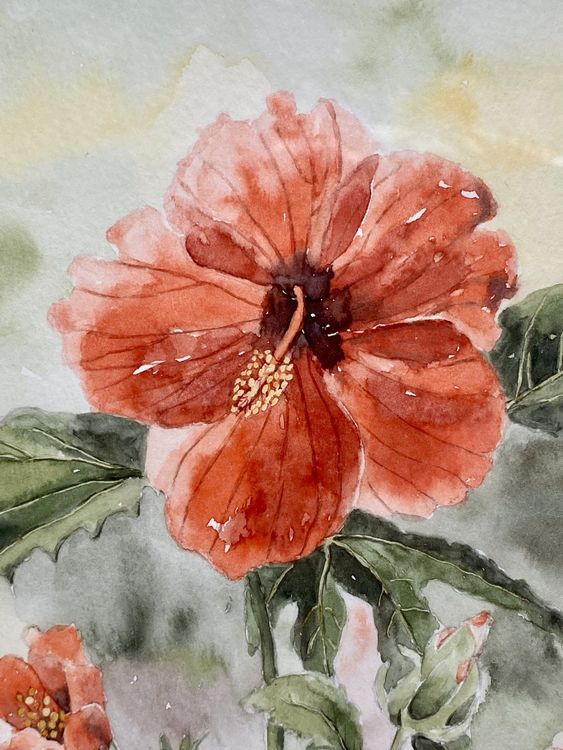 Aquarelle Nature morte aux fleurs d'hibiscus. Signée A.C. | Kaufen auf Ricardo