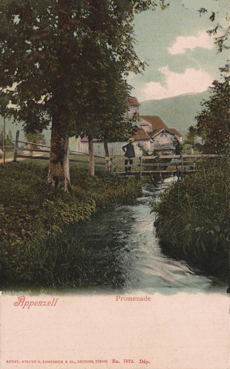 Appenzell, Promenade (Gebraucht) in Bronschhofen für CHF 10 – mit Lieferung auf Ricardo kaufen