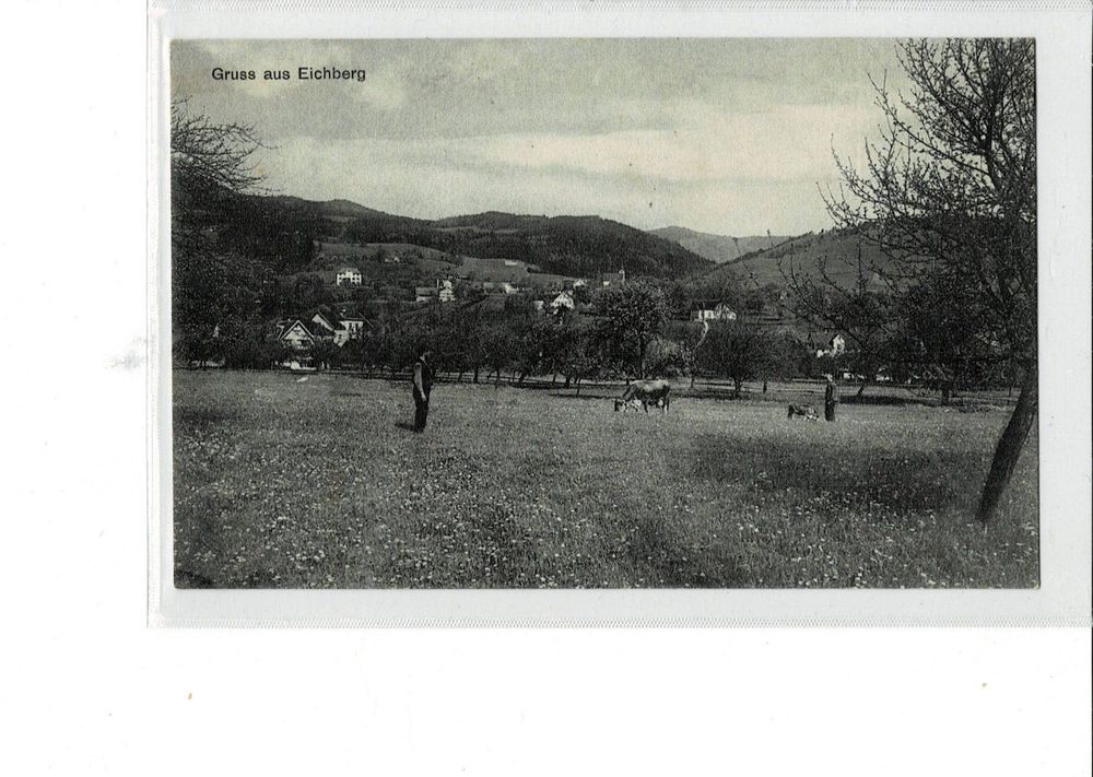 Gruss aus EICHBERG SG ca 1920! (Neu (gemäss Beschreibung)) in Hergiswil NW für CHF 13 – mit ...