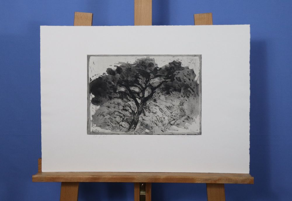 Charles Wyrsch 1920-2019, Radierung, Aquatinta, handsigniert (Gebraucht) in Zug für CHF 27 – mit ...