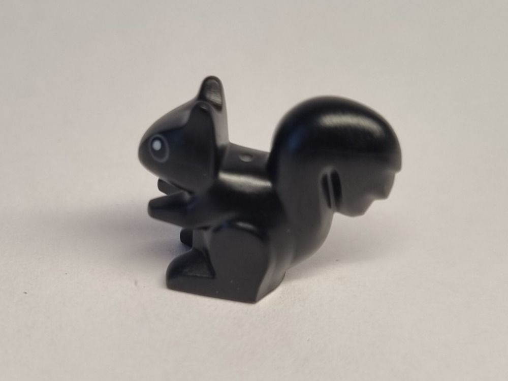 LEGO 80679pb02 Black Squirrel with Black Eyes, White Pupils | Kaufen ...