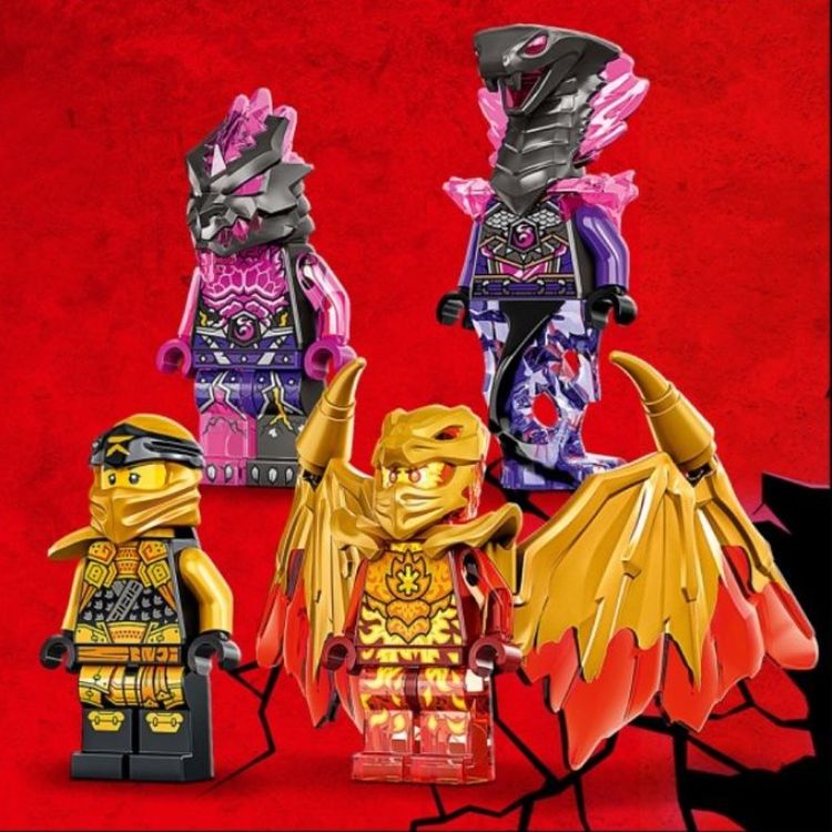 LEGO 71769 NINJAGO Coles Drachen-Flitzer | Kaufen auf Ricardo