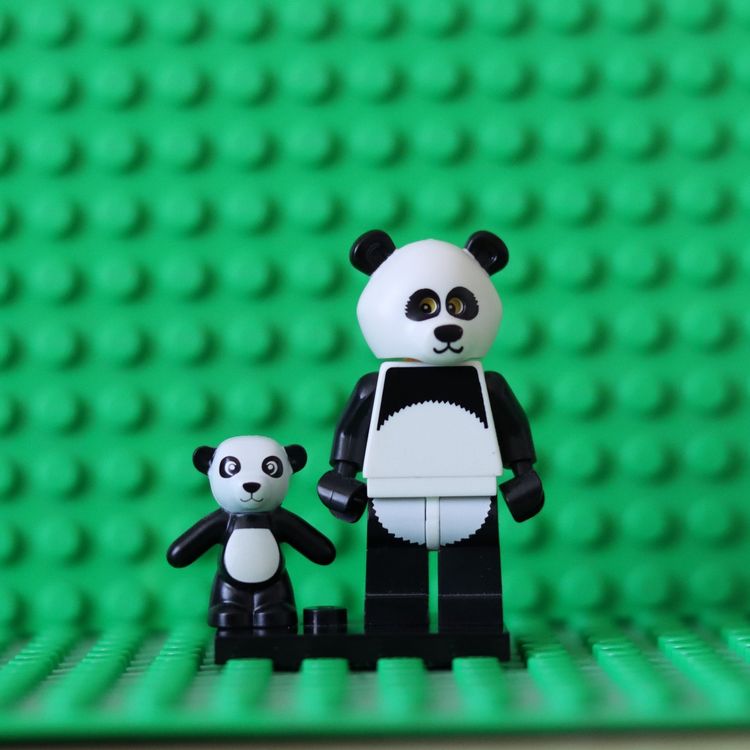 LEGO, The LEGO Movie, Panda Guy (Gebraucht) in Luzern für CHF 5 – mit ...