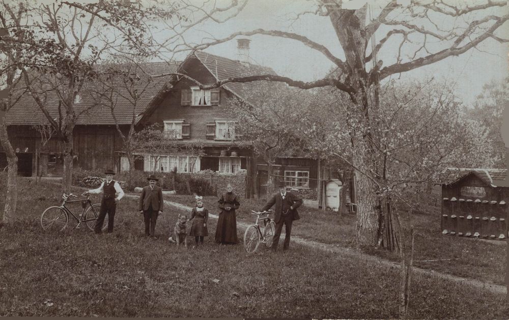 Bernhardzell. Bauernhof mit Bauernfamilie, Bienenhaus (Gebraucht) in Bronschhofen für CHF 66 ...