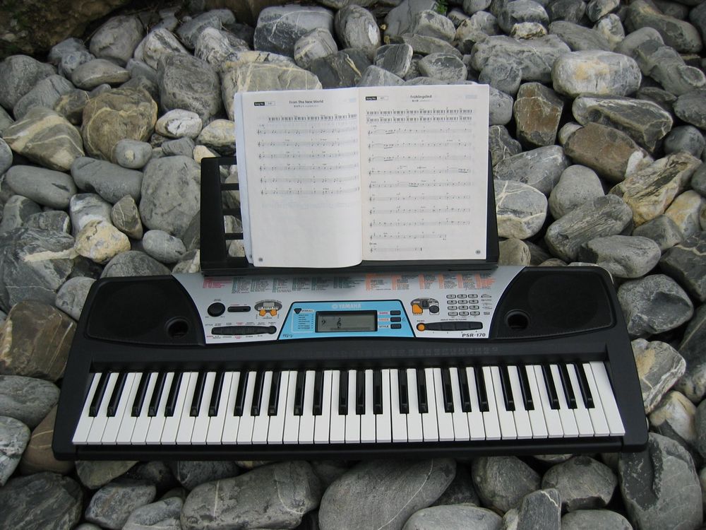 Yamaha Keyboard PSI-170 | Kaufen auf Ricardo