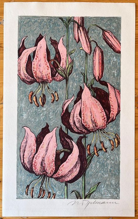 Lithografie Türkenbund von Walter Diggelmann (ID b3856) | Kaufen auf ...