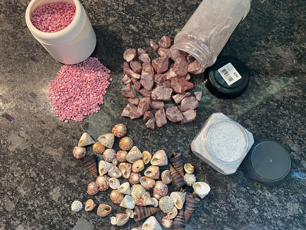 Muscheln und Deko Sand/Granulat/Steine (Gebraucht) in Glattbrugg für CHF 5 – mit Lieferung auf ...