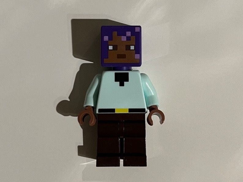 Lego Minecraft - Efe - min159 (Neu (gemäss Beschreibung)) in Hirschthal ...