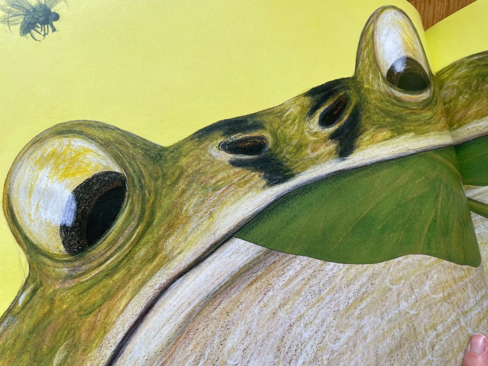 Lorenz Pauli Kathrin Schärer Mutig, mutig (Gebraucht) in Bern für CHF 7 ...