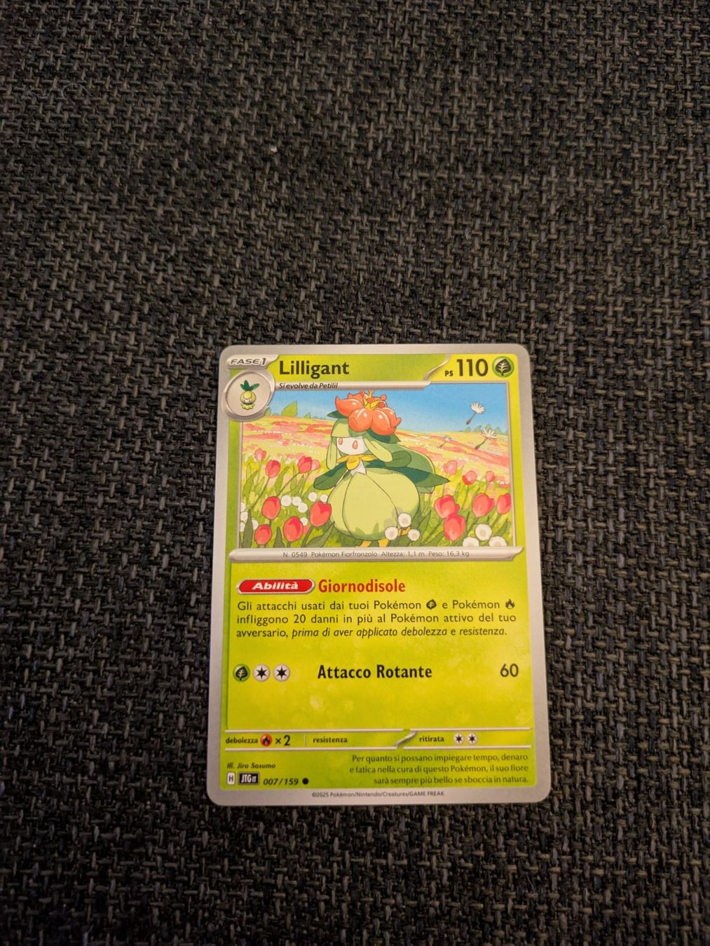 LILLIGANT, JOURNEY TOGETHER, JTG7, COM, 2025, ITA, NM (Gebraucht) in ...